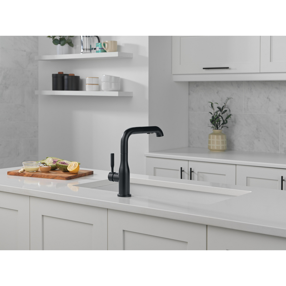 Single Handle Pull-Out Kitchen Faucet 16943-BL-DST | Delta Faucet