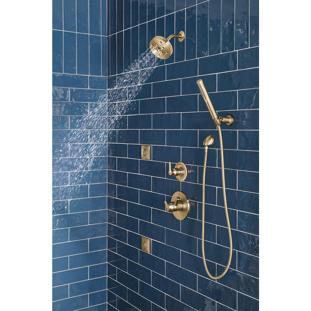 Premium Single-Setting Adjustable Wall Mount Hand Shower 55085-CZ ...