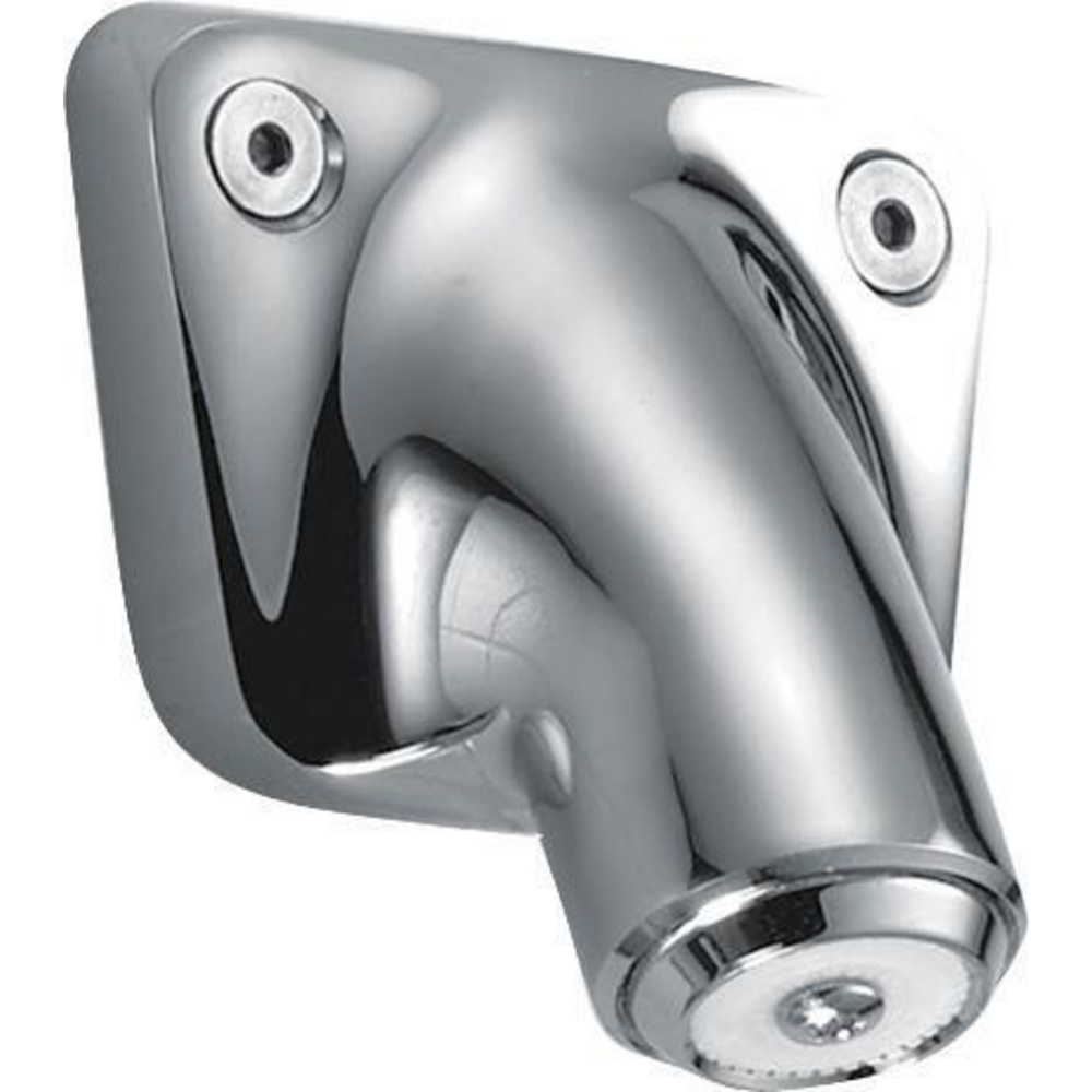 30 Degree Institutional Shower Head - 2.0 gpm (7.6 L/min) 060793A ...