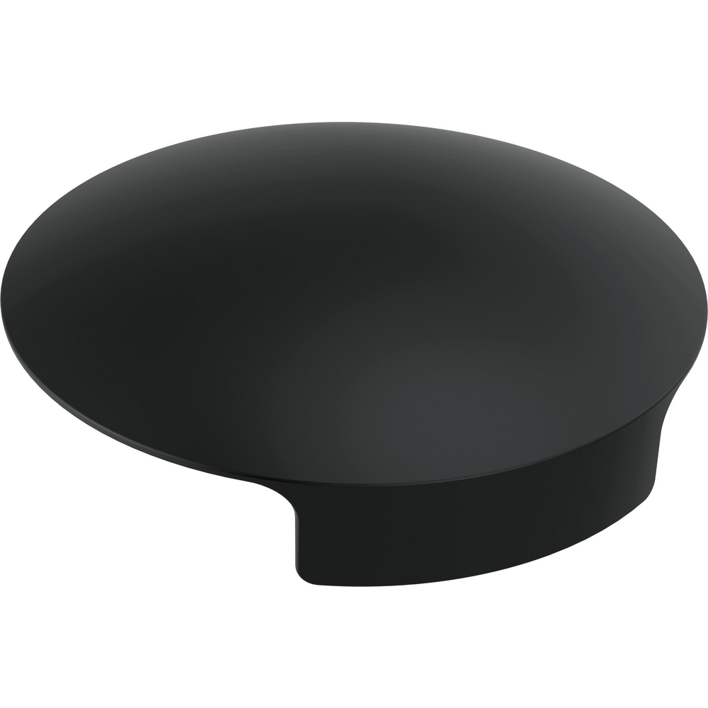 Glass Rinser Cover RP101289BL | Delta Faucet