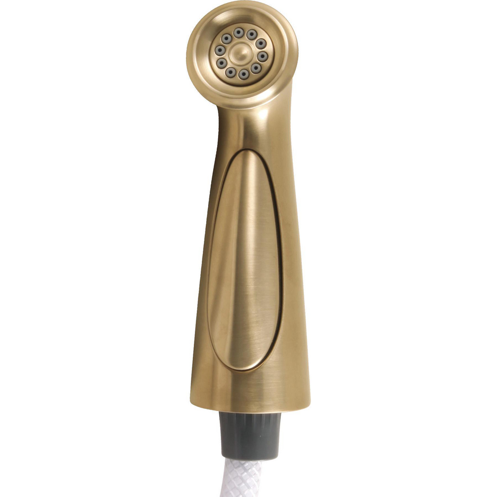 Side Spray & Hose Assembly RP72751CZ | Delta Faucet